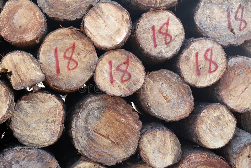 Legado Visual (Legadovisual) - Photographer profile