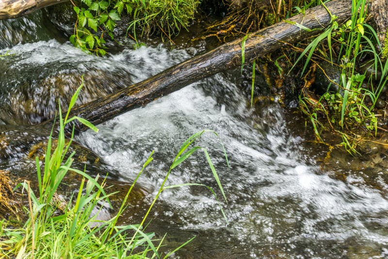 Log Over Creek stock photo. Image of northwest, creek - 187122452