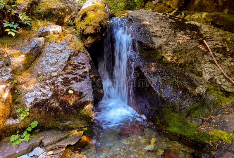 Log Over the Falls stock photo. Image of greenery, landscape - 209927778