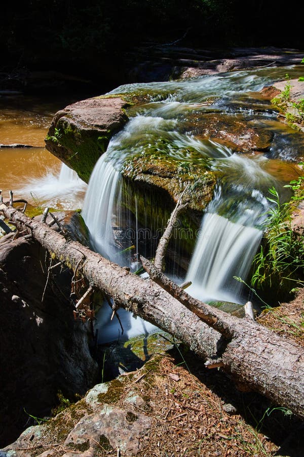 Log Over Small Waterfall with Brown River and Algae Stock Photo - Image ...