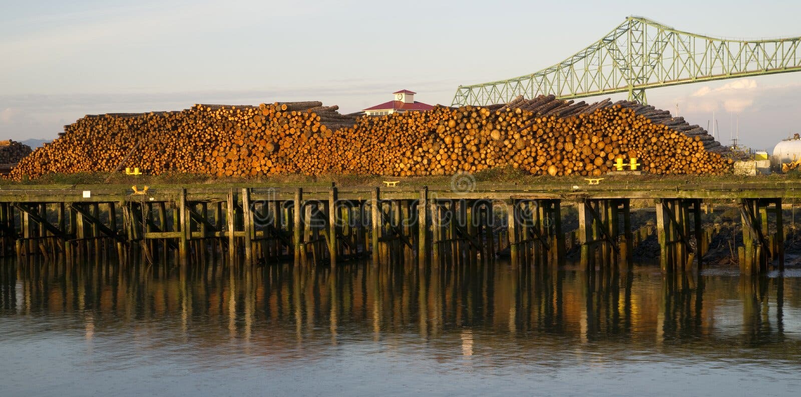 Cut Timber Waiting To Export Logging Shipyard Stock Photo - Image of ...
