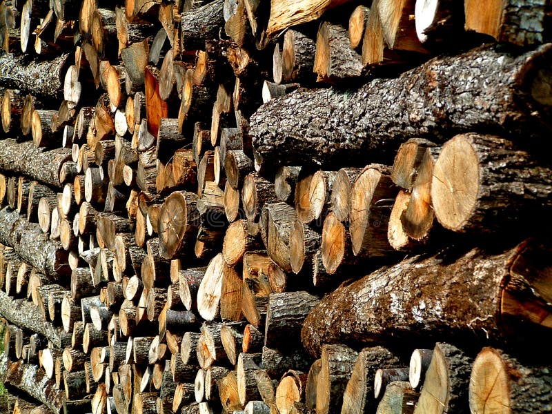 Log Pile stock photo. Image of sawing, france, winter - 1055386