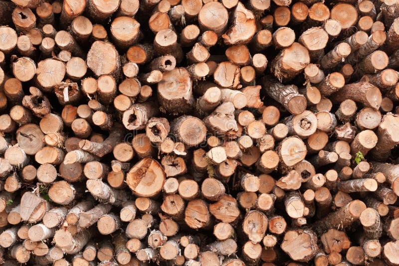 Log Pile stock image. Image of industry, forest, alternative - 32488531