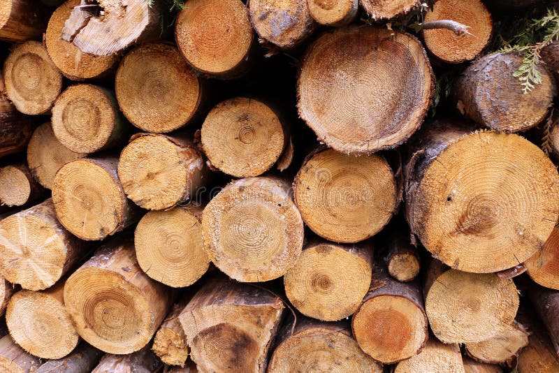 Log Pile stock photo. Image of outside, firewood, pile - 117147642