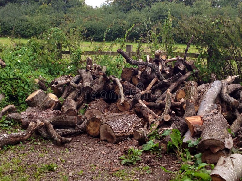 Log pile stock image. Image of logs, firewood, pile, damp - 43966221