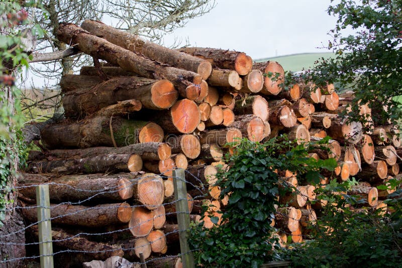 Log Pile stock photo. Image of stacked, horizontal, heap - 64976778
