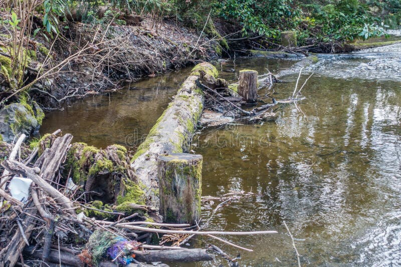 Log Pile in Stream 2 stock photo. Image of wilderness - 178694888