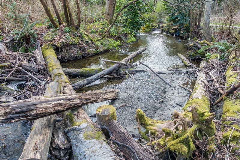 Log Pile in Stream 6 stock image. Image of wilderness - 179428323