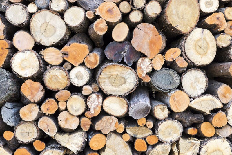 Log pile stock photo. Image of outdoor, round, lumber - 54081666