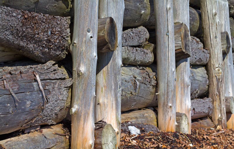Log Pilings for Erosion Prevention Stock Image - Image of construction ...