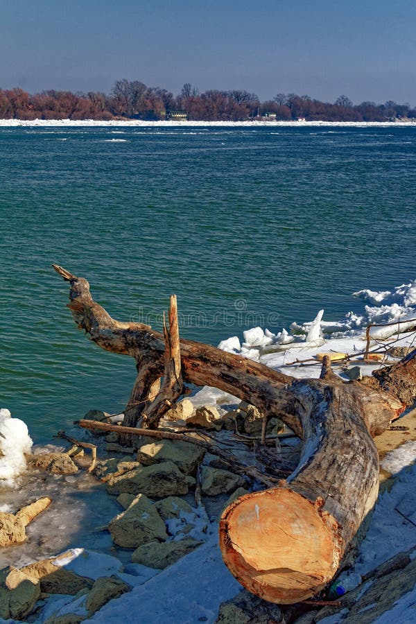 Log by the river stock image. Image of stone, blue, rocks - 93185939