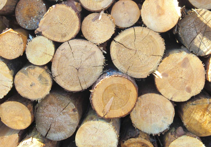 Log stock image. Image of wood, sawn, timber, logs, lumber - 55356271