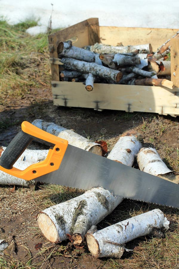 Log sawing stock image. Image of metaphor, improvement - 39323835
