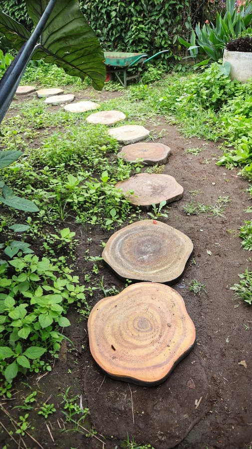 Log Shape Stepping Stone Pathway Laying on the Grass at Garden or Park ...