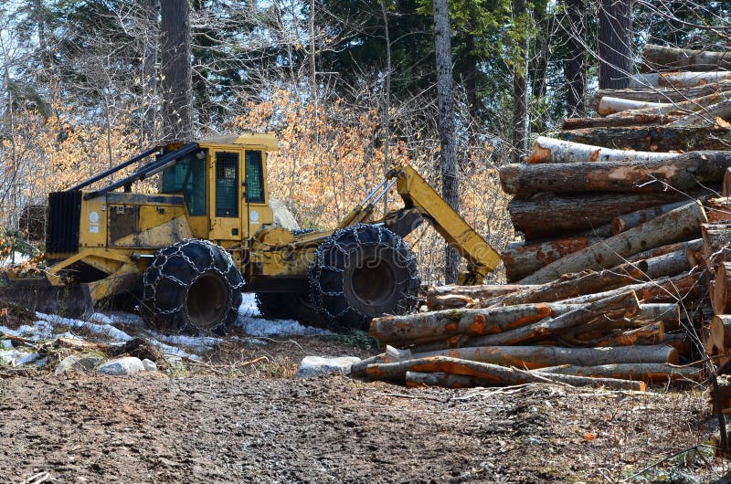 Logging skidder and logs stock photo. Image of forest - 39675646