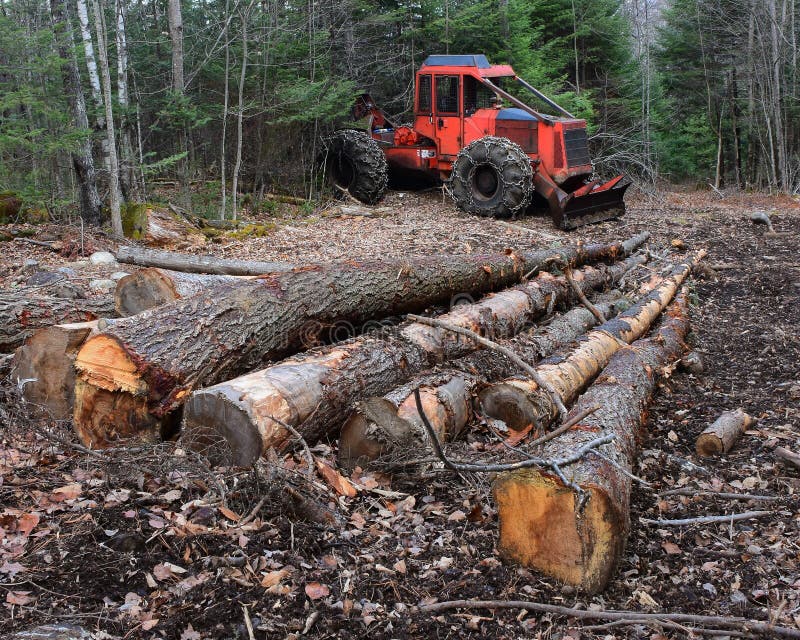 245 Logging Skidder Stock Photos - Free & Royalty-Free Stock Photos ...