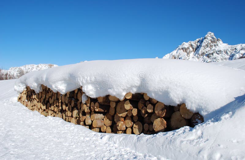 Log and snow 2 stock photo. Image of winter, shadow, trees - 7561382