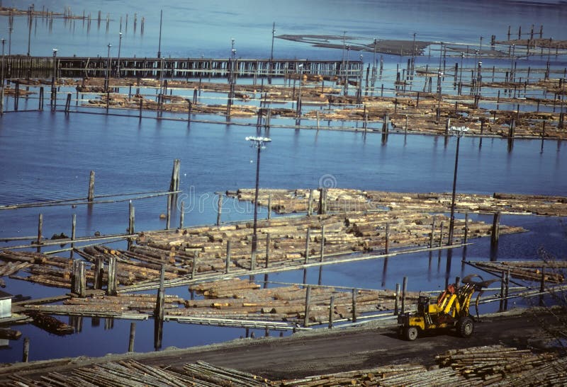 Log sorting pond stock image. Image of logging, environment - 27324419