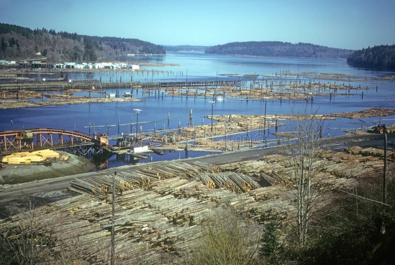 Log sorting pond stock image. Image of transport, water - 280552877