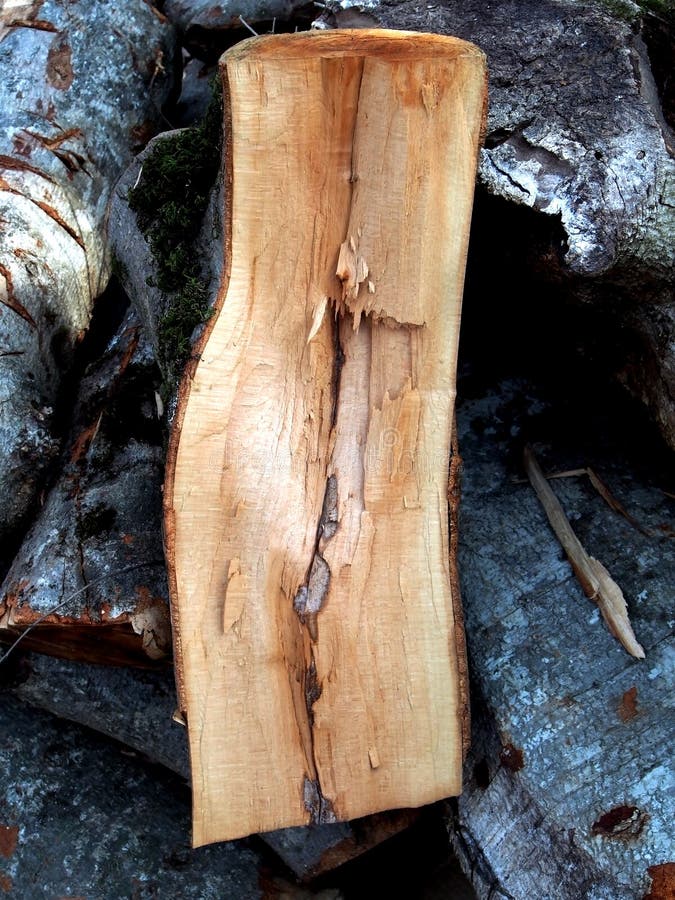 Rough Split Log stock image. Image of cracks, irregular - 3427325