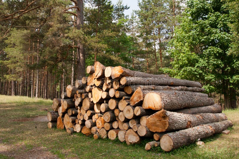 Log stack - Stock Image - Everypixel