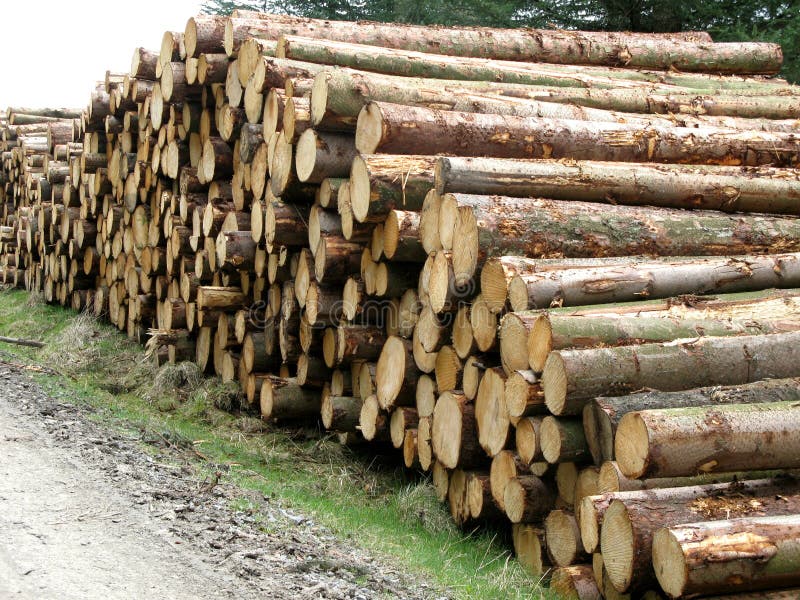 Log stack stock photo. Image of chopped, wood, forest - 4966732