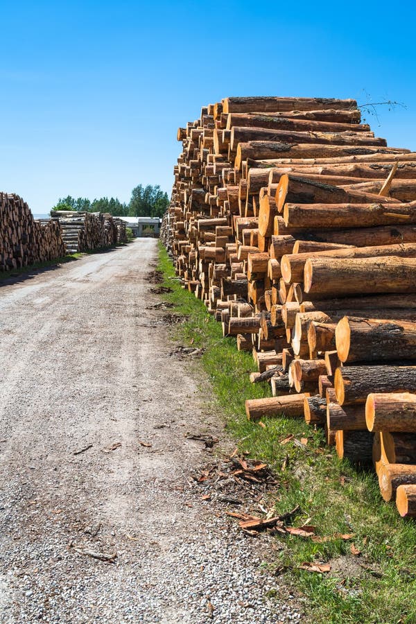 Sawlogs Stack on Both Sides of the Road Stock Photo - Image of packing ...
