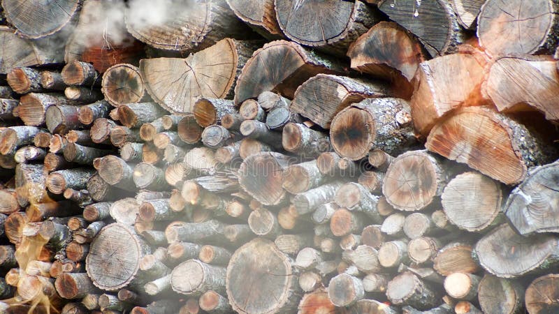 Log Stack Catch Fire,Burning Wood, Flame and Smoke. Cinemagraph Stock ...