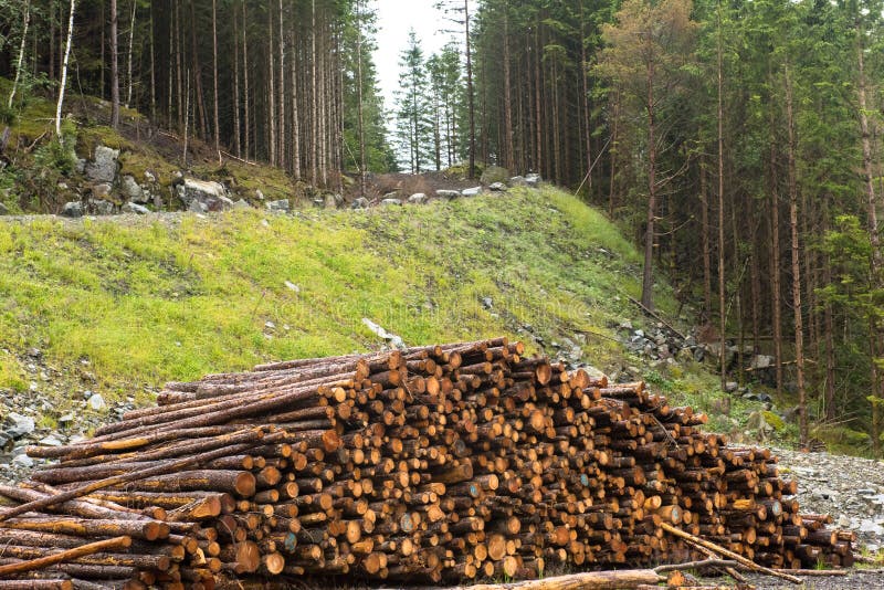 Timber Logging in Austrian Alps Stock Photo - Image of woodchip ...