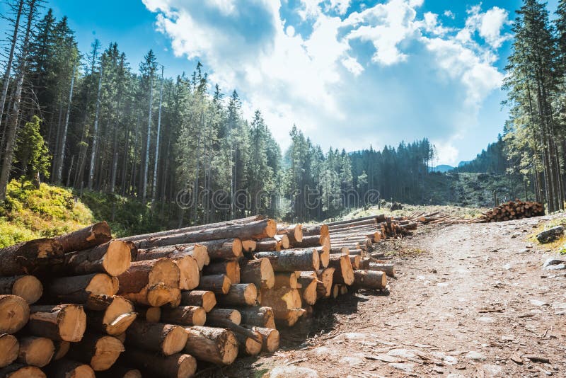 Timber Logging In Austrian Alps Stock Photo - Image of native, trees ...