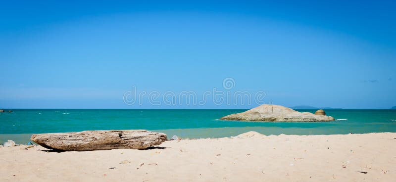 Log on a sunny beach stock photo. Image of relaxing, stunning - 26073486