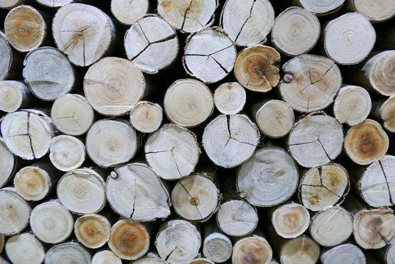 Log Surface for Background Texture Stock Photo - Image of round, tree ...