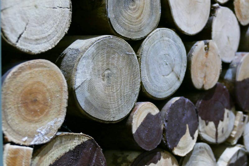 Log Surface for Background Texture Stock Photo - Image of hardwood ...