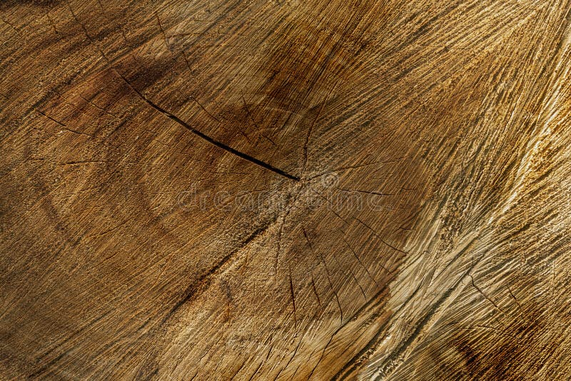 Log Surface Structure. Stumps and Logs. Timber Logging Industry Banner ...