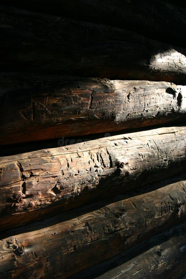 Log Texture Picture. Image: 1102365