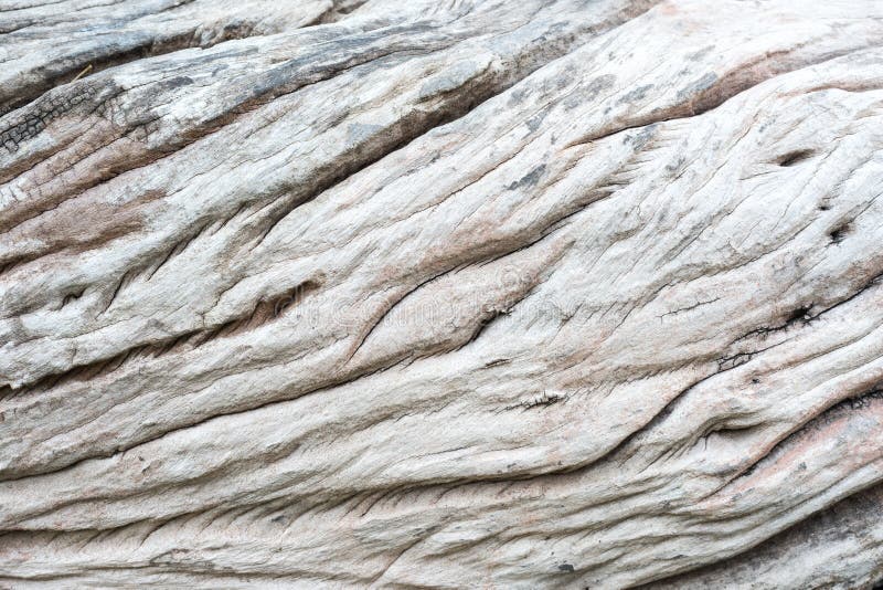 Log texture stock photo. Image of material, rough, dark - 94182520