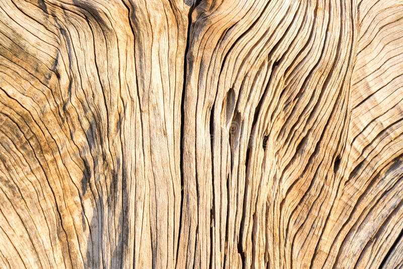 Log texture stock image. Image of pattern, background - 94182375