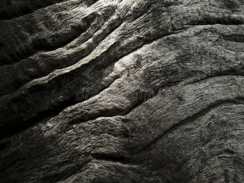 Log texture dark tone art stock photo. Image of tone - 52623824