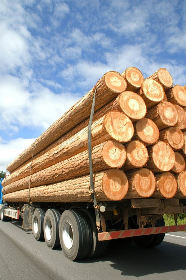 Log Transportation on Truck Showcasing Timber Supply Chain Logistics ...