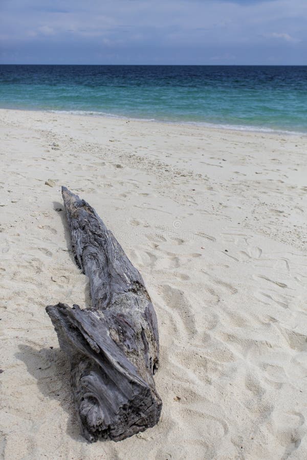 Log on Tropical White Sands Stock Image - Image of coast, tourism ...