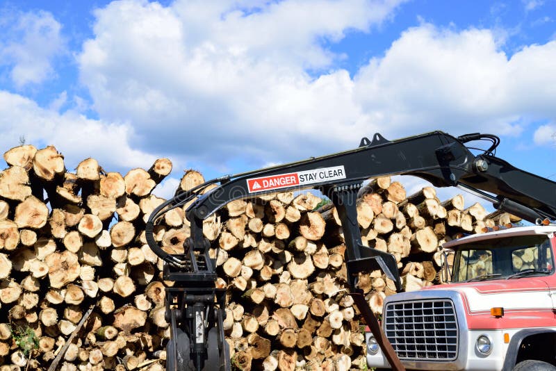 Logging pile with loader. stock photo. Image of logs - 31533030