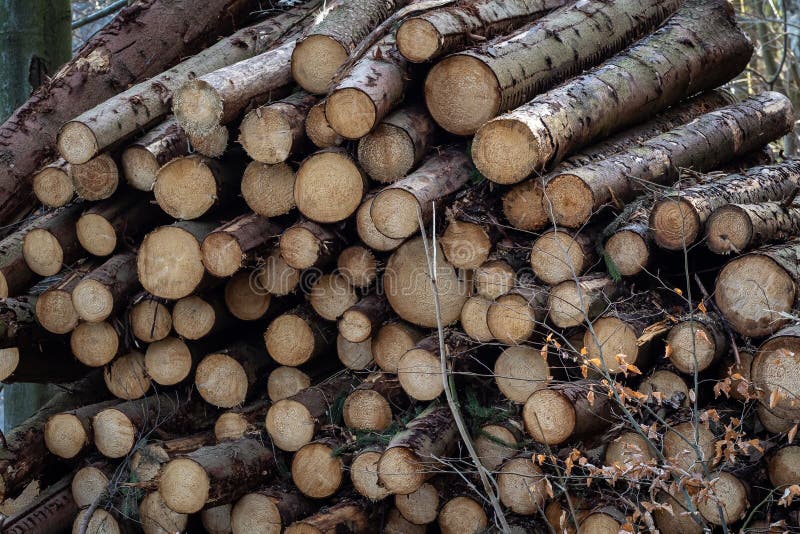 Log Trunks Pile, the Logging Timber Forest Wood Industry. Stock Photo ...