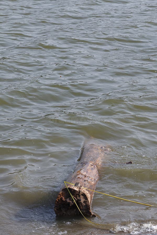 A Log in the Water Thrown on the Shore of the Lake Stock Image - Image ...
