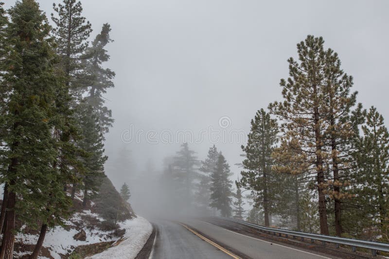 Log in Wild Forest stock photo. Image of beautiful, wood - 111995550