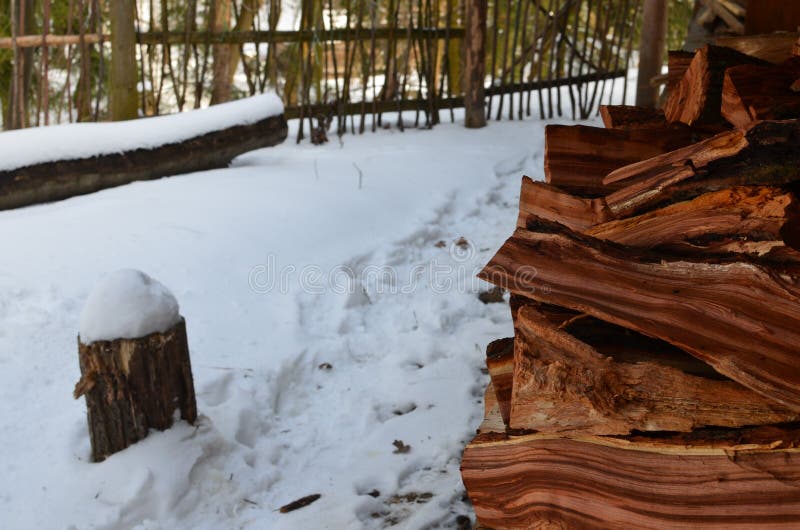 A Bundle of Firewood for the Winter Stock Image - Image of countryside ...