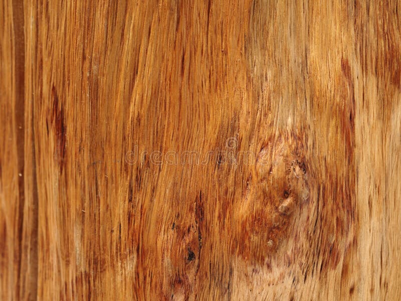 Log Wood isolated texture stock image. Image of close - 122871971