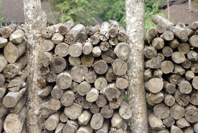 Log wood cut texture stock image. Image of design, chopping - 30139055