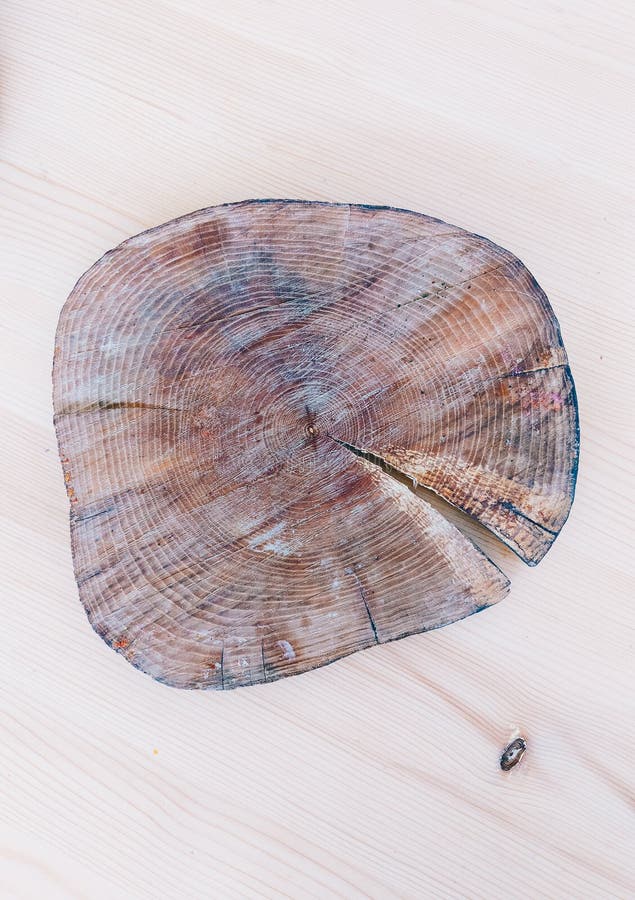 Log Wood Texture Stylish Minimal Wallpaper. Bio Eco Concept Stock Image ...