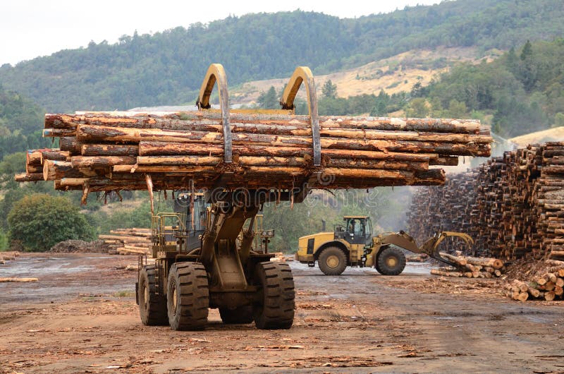 Log Yard stock image. Image of logging, machinery, hauling - 21423285