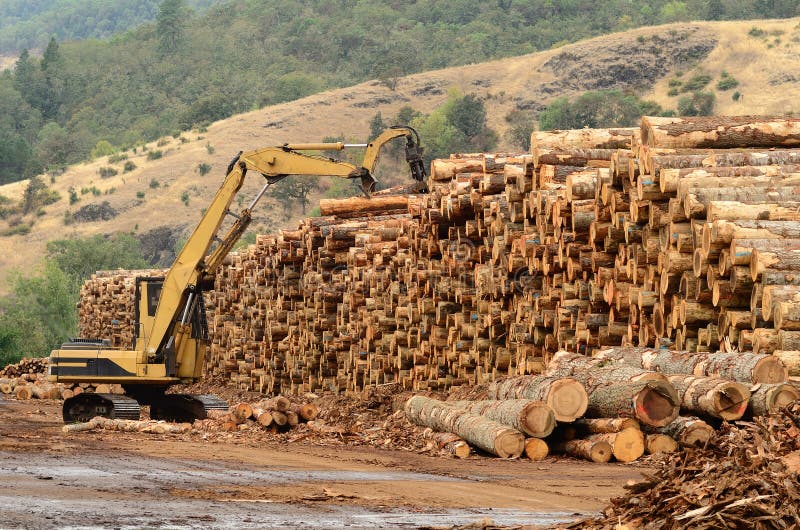 Log Yard stock photo. Image of loader, claw, loading - 21423344